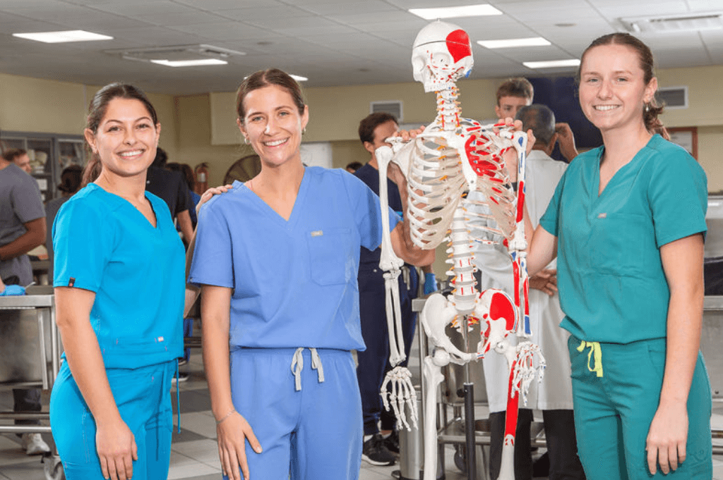 How to Study Anatomy in Medical School | SUSOM