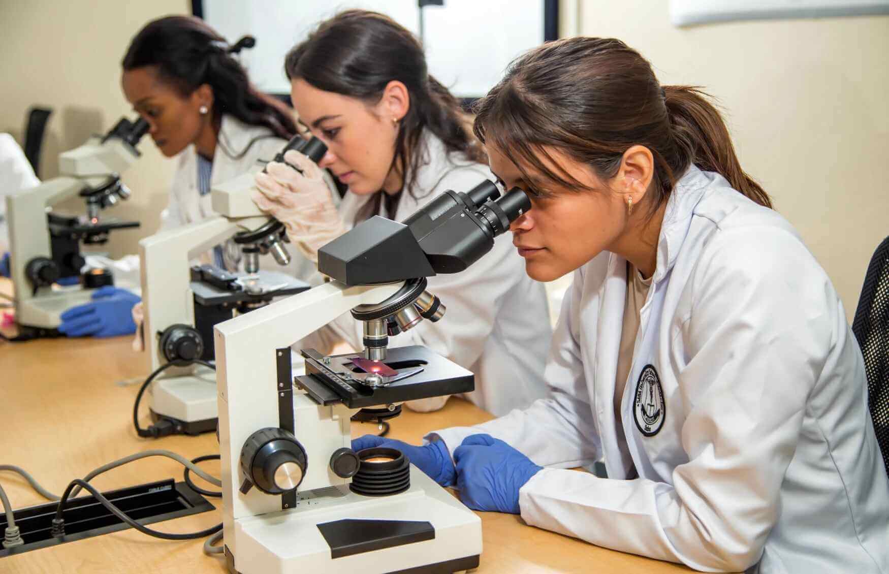 Basic Sciences vs Clinical Medicine: Key Differences | SUSOM